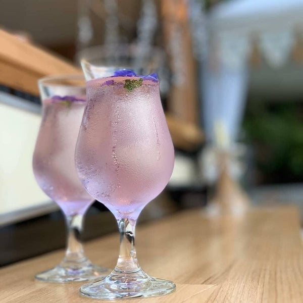 Cocktail Glass - 310ml – Noosa Party Hire